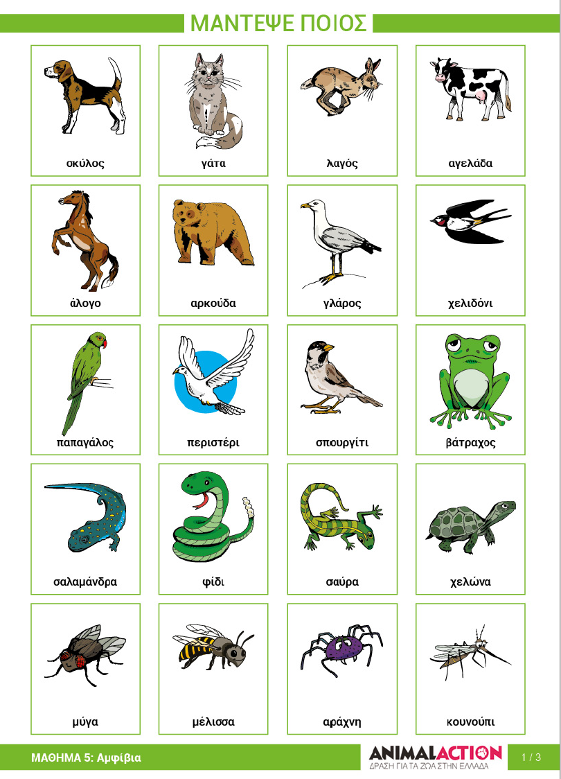 ΕΚΠΑΙΔΕΥΤΙΚΟ ΥΛΙΚΟ » Animal Action