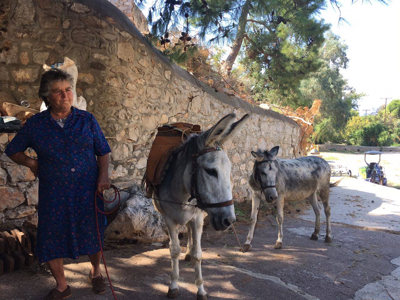 ΟΙ ΦΙΛΟΙ ΣΤΗΝ ΑΝΑΓΚΗ ΦΑΙΝΟΝΤΑΙ... » Animal Action