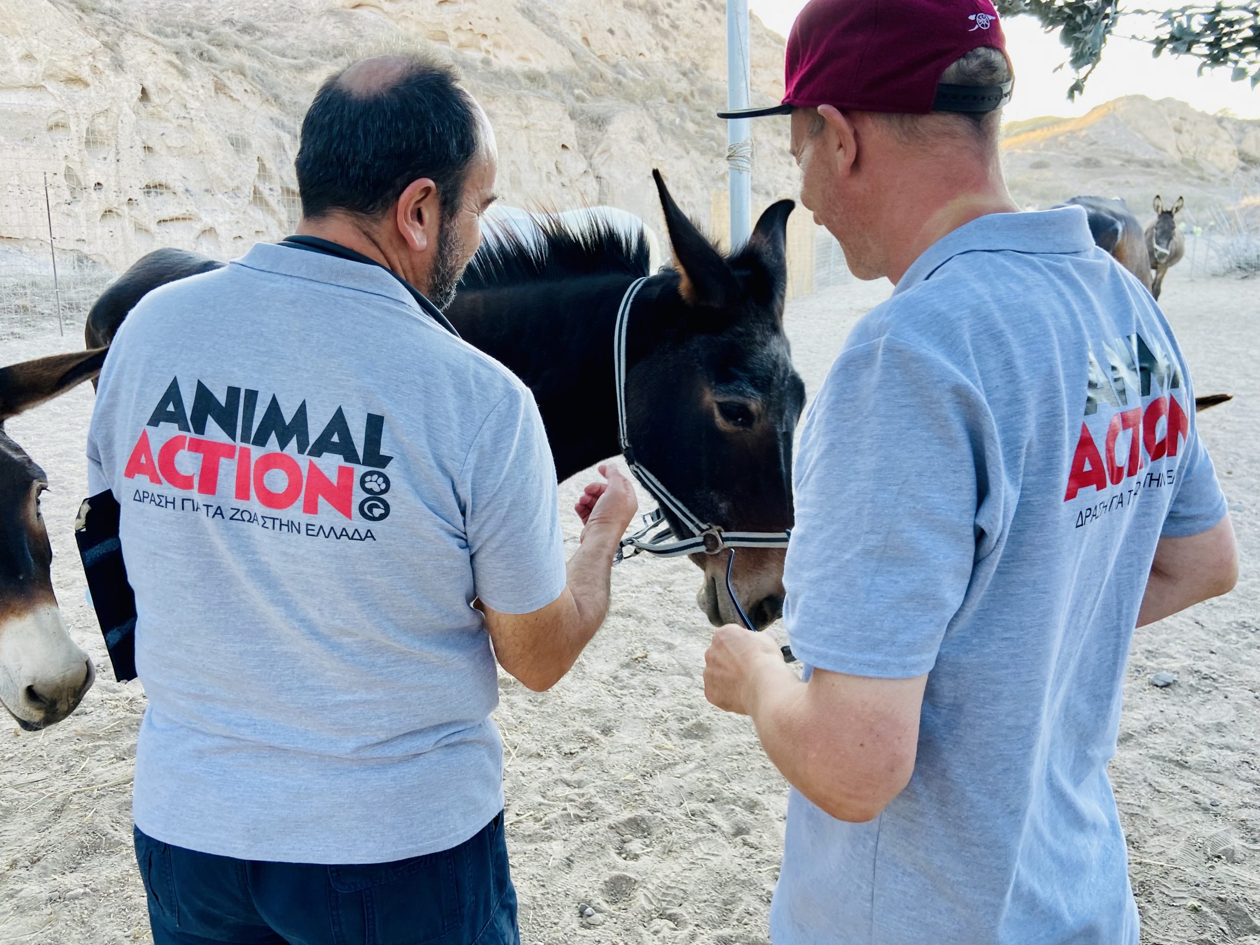 Our People - Animal Action Greece